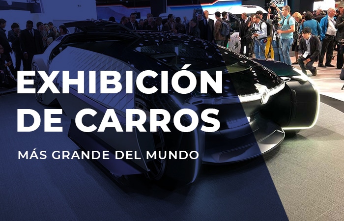La Colección De Coches Más Grande Del Mundo